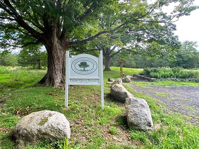 The gateway to tranquility, marked by a sign that promises woodland adventures without the drama.
