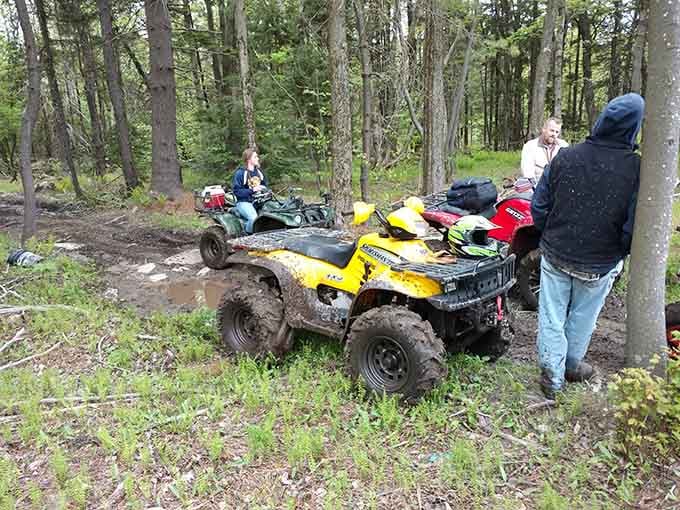 ATVs in the woods: because some people need motors to enjoy nature, and that's okay too.