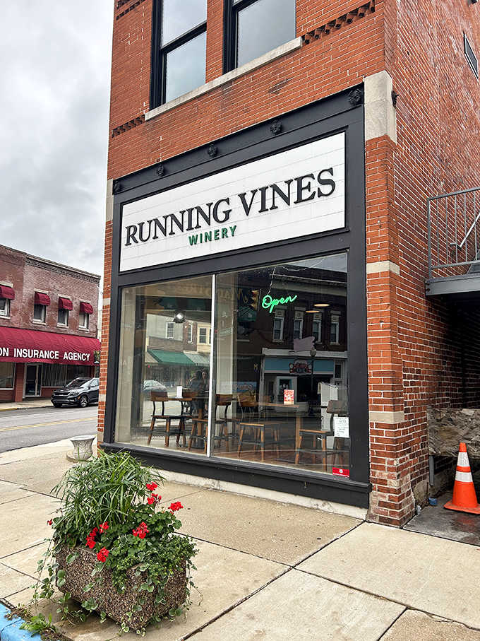 Running Vines Winery brings grape sophistication to Northwest Indiana, one glass at a time, no pretension required.
