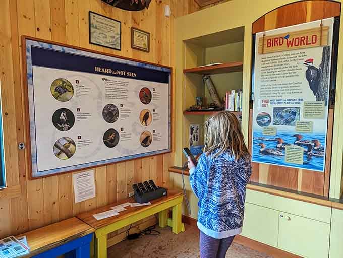 Interactive displays make learning about local wildlife feel less like homework and more like actual fun.