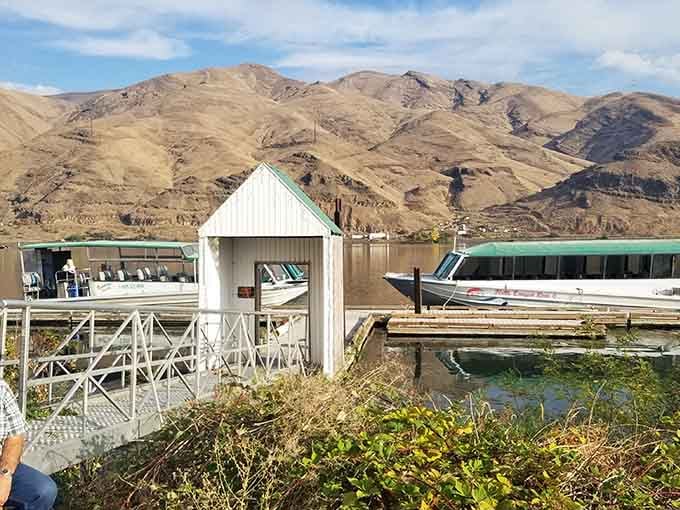 Marina life on the Snake River means your biggest decision is which boat to admire while enjoying your morning coffee.