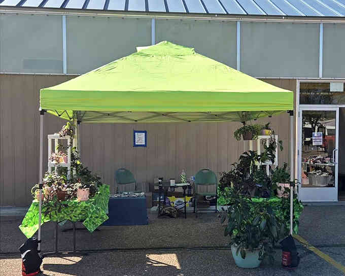Fresh greenery and potted plants bring life to your shopping spree, because even bargain hunters need botanical therapy.