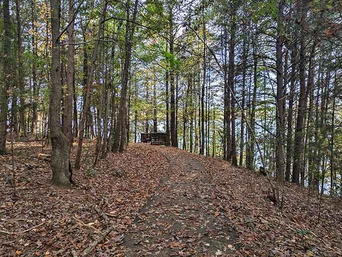 The cabin peeks through the trees like a secret hideaway, minus the secret handshake requirement.