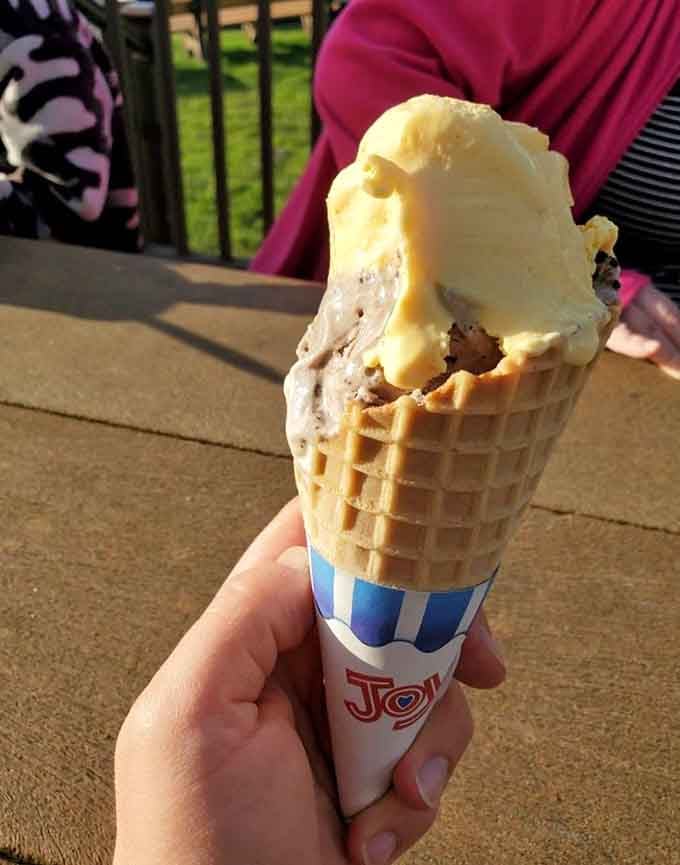Honey ice cream with Cookies & Cream proves that sometimes the most unexpected combinations create the sweetest memories.