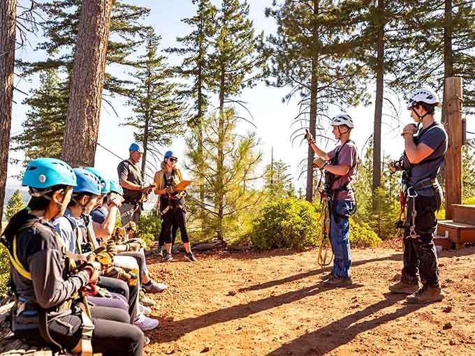 The safety briefing: where professional guides transform nervous energy into confident excitement before your forest flight begins.