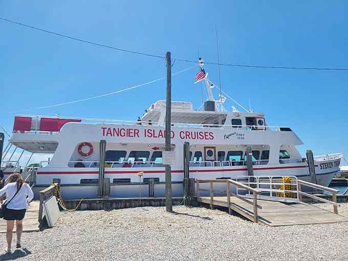 Your chariot awaits to transport you back in time to islands where the 21st century is still optional.