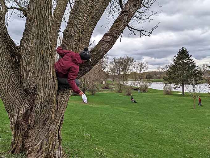 Kid climbing a tree the old-fashioned way, no Wi-Fi required, just pure childhood joy in action.