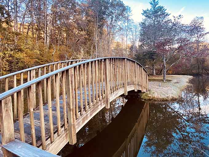 This graceful wooden bridge curves through the forest like an invitation to explore what lies beyond the next bend.