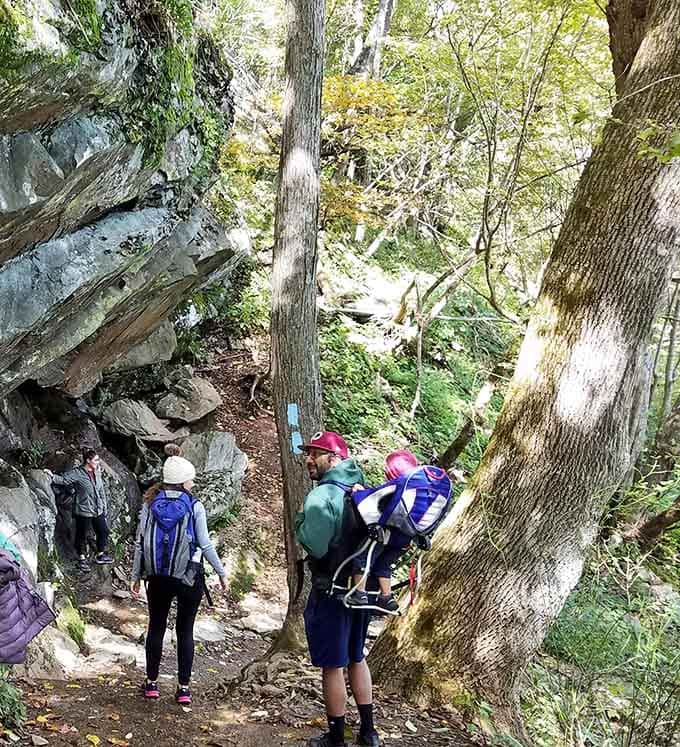 Even with company on the trail, there's something magical about sharing this journey with fellow waterfall seekers.