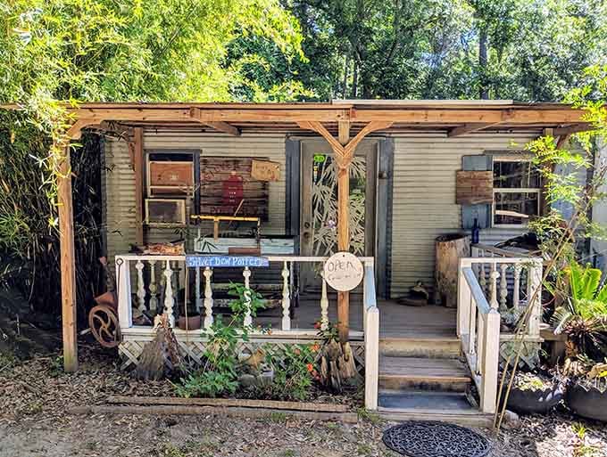 Silver Dew Pottery sits tucked among the trees like a secret your artsy friend finally decided to share with the rest of us.