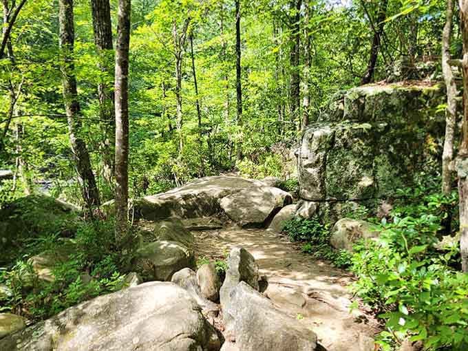 The trail to additional waterfalls beckons, but there's zero shame in stopping at the easy one and calling it a day.