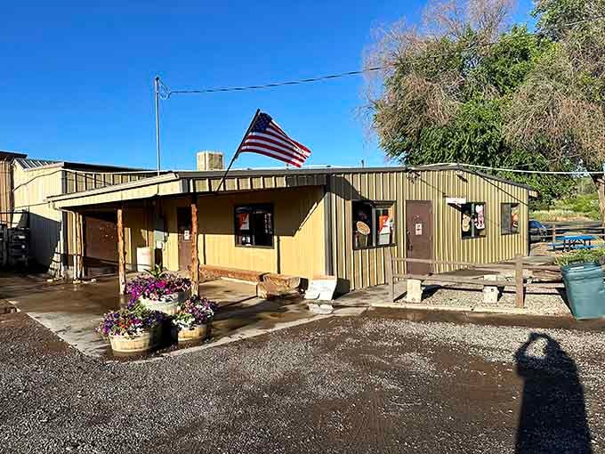 Breakfast spots where the coffee's hot, the welcome's warm, and your wallet doesn't need therapy afterward.