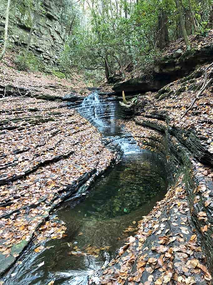 Autumn leaves frame this emerald pool like nature's own Instagram filter, except this one required zero digital enhancement whatsoever.