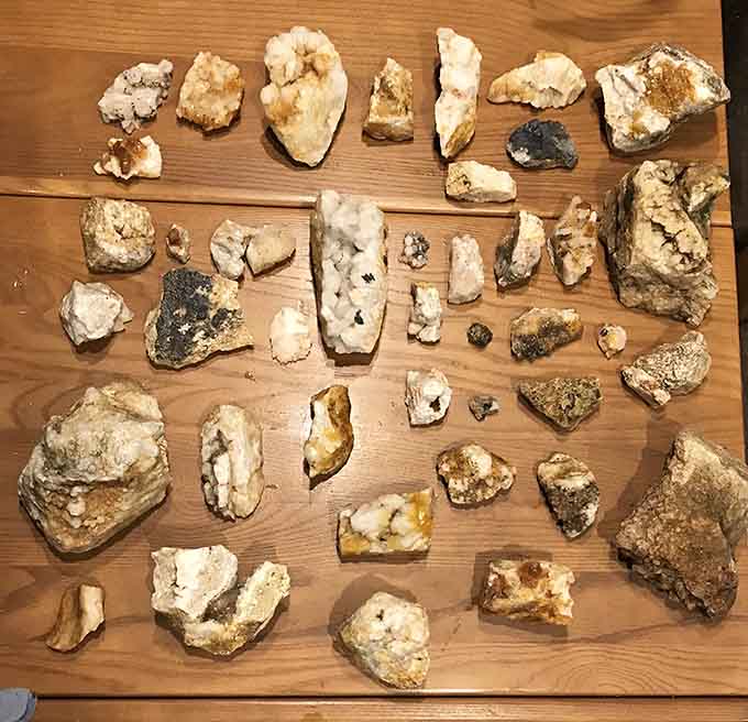 A day's haul spread across the table like pirate treasure, minus the map and parrot.