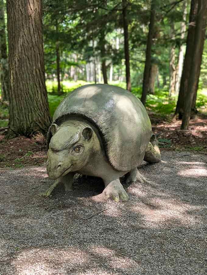 This armored Glyptodon looks like nature's answer to a Volkswagen Beetle, only infinitely more interesting to photograph.