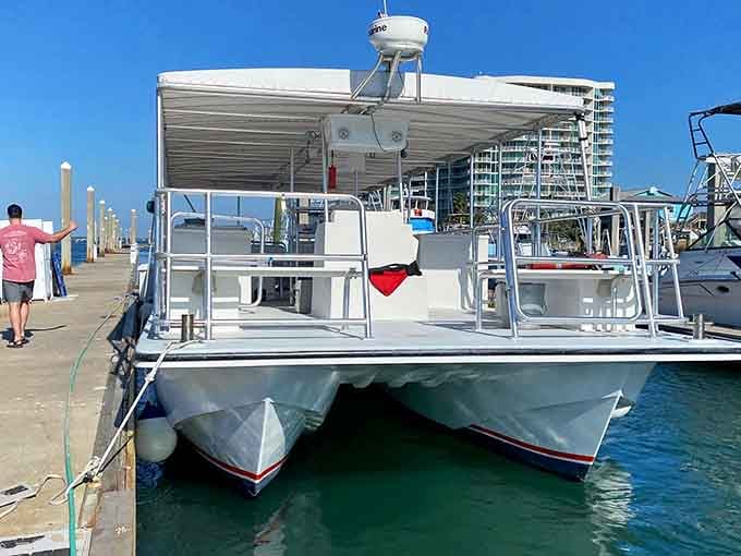 This sleek catamaran design keeps things stable while those glass panels below reveal nature's greatest underwater show.