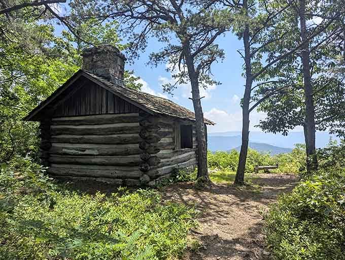 Nothing says "rustic charm" quite like a log cabin perched on a mountainside with views that never get old.