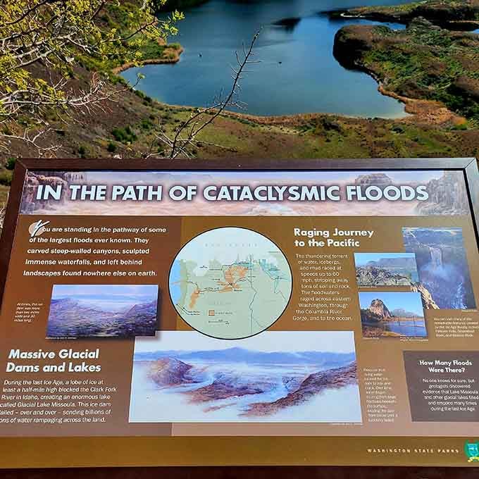 Educational signage explains how catastrophic floods carved this canyon, making your morning commute seem less dramatic.