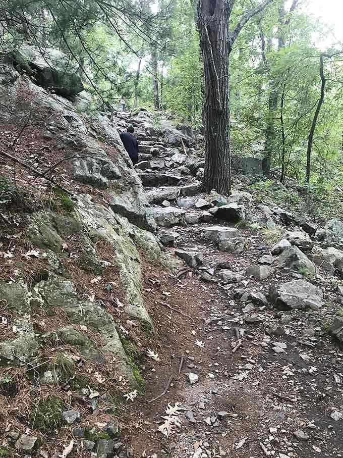 These stone steps have seen more determined treasure seekers than a lottery ticket line on jackpot day.