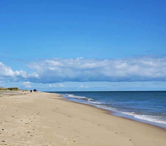 Katama Beach stretches for miles, offering sand, surf, and the kind of peace money can't buy.
