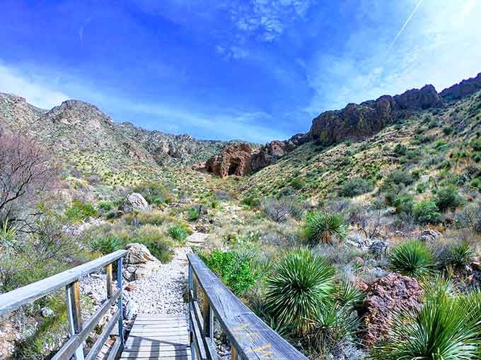Franklin Mountains State Park offers hiking trails that'll take your breath away, unlike your rent which lets you breathe easy financially.