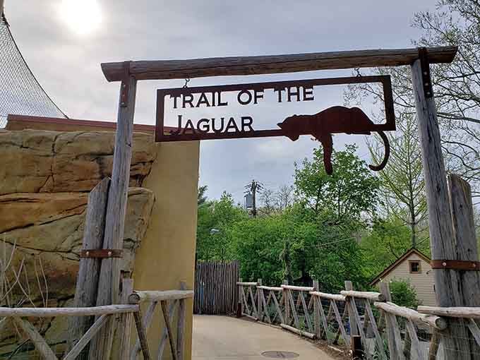 The Trail of the Jaguar beckons like an adventure novel you can actually walk through instead of read.