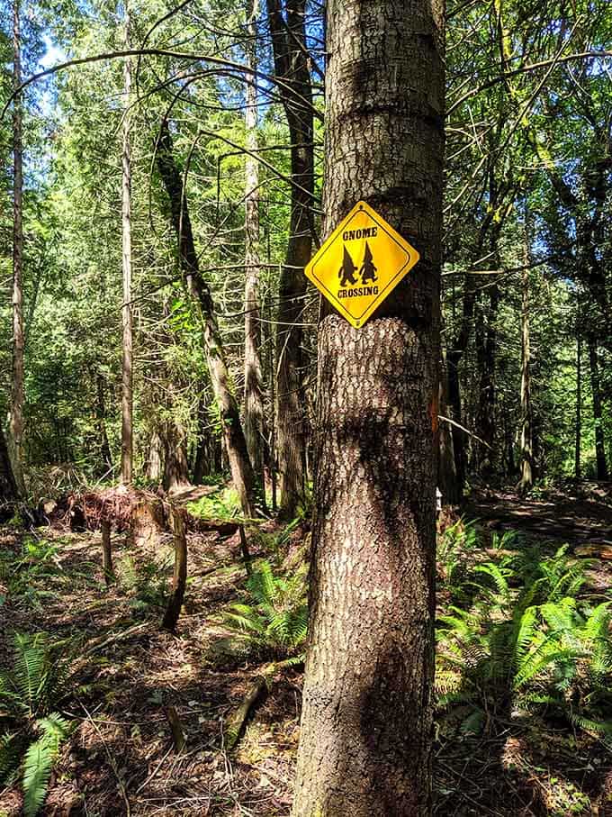 Yellow diamond warning signs usually mean deer, but here they're alerting you to something considerably more bearded and pointy-hatted.