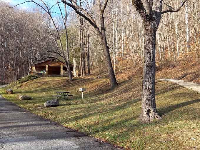 Where the trails begin and your cell phone signal politely excuses itself for the day.