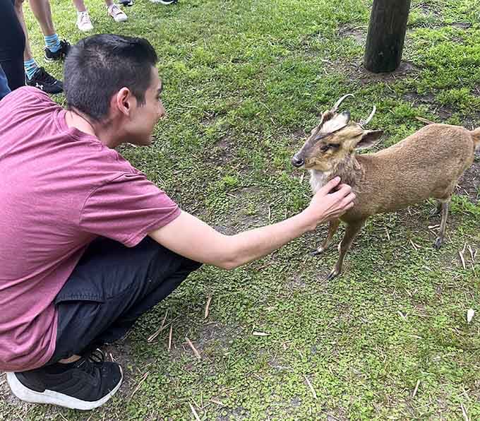Getting nose-to-nose with a deer beats scrolling through your phone any day of the week, trust me on this one.