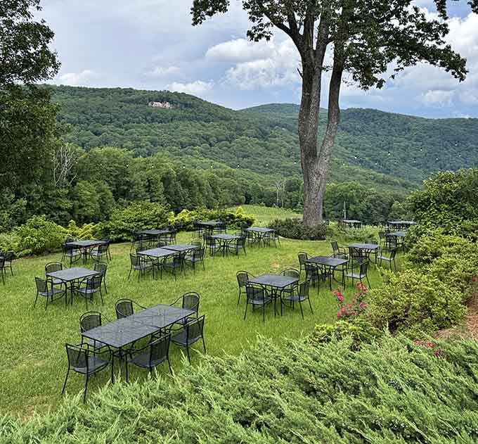 Tables scattered across the lawn with mountain views that make you forget you have responsibilities waiting back home.