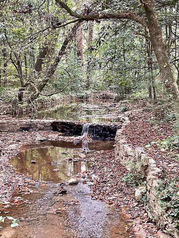 Nothing says tranquility quite like water trickling over rocks that have been here longer than your family tree.