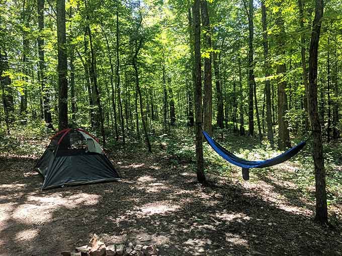 Green Ridge State Forest stretches endlessly, offering 44,000 acres of "please leave me alone, I'm communing with trees."