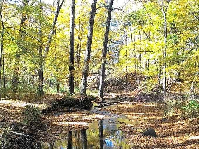 Nature trails that prove you don't need mountains or oceans to find your peaceful escape spot.