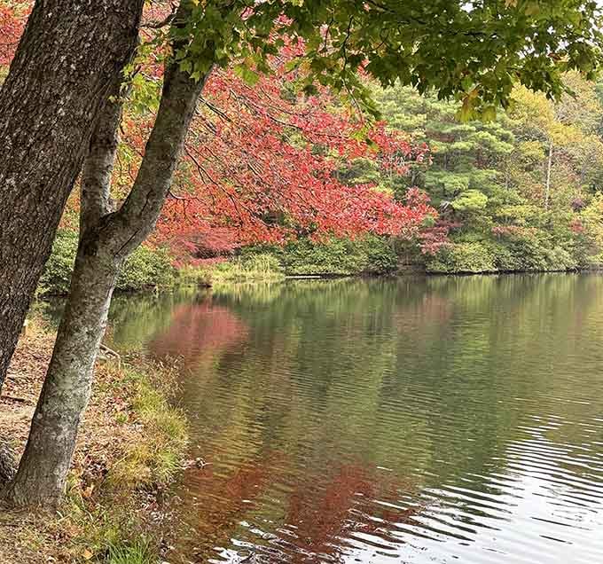 Crimson leaves reflecting on still water create a mirror image that'd make Narcissus understand the appeal completely.