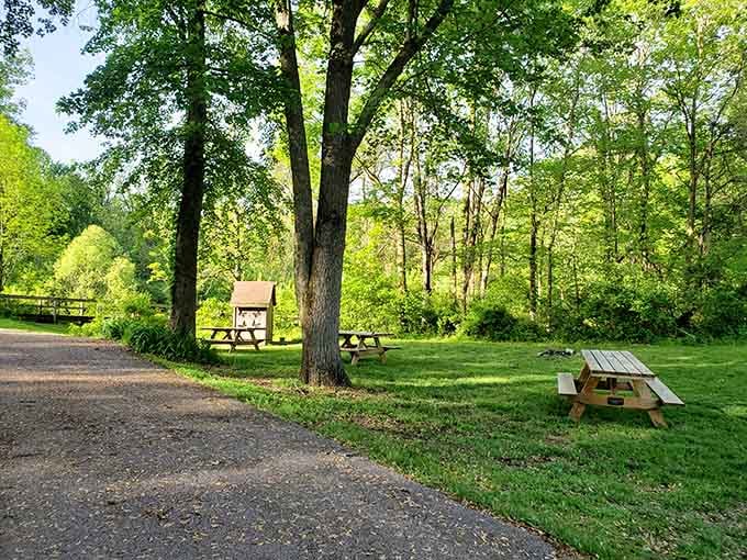Picnic tables nestled in the shade, waiting for your sandwich and your best nature stories.