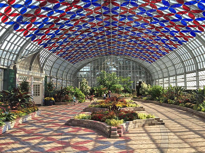 Red, white, and blue overhead installations transform the conservatory into a patriotic celebration of botanical beauty.