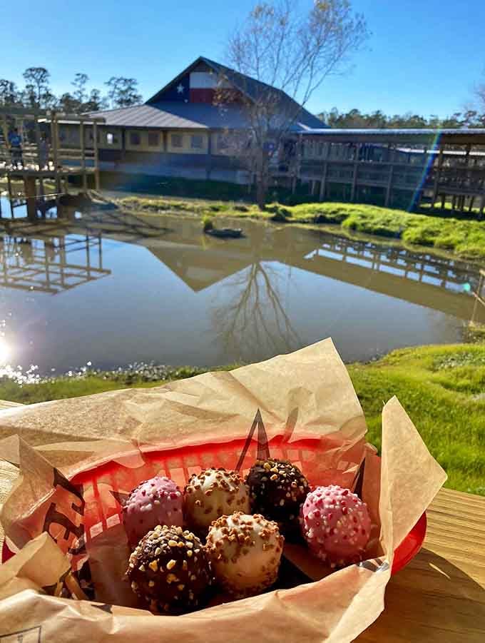 Cake balls with a view of gator ponds, because regular dessert settings are apparently too boring now.