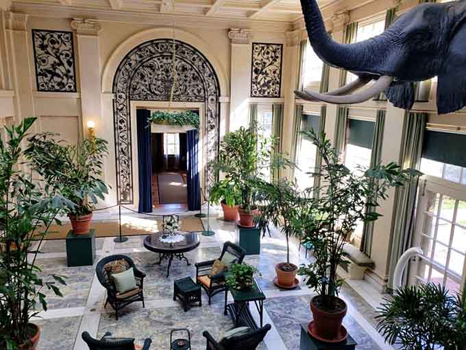 An elephant head greets visitors in a conservatory that feels like Tarzan's vacation home.