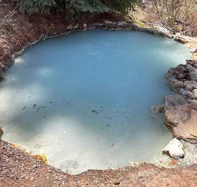 This Hidden Geyser In Colorado Is The Coolest Thing You’ll Ever See For ...