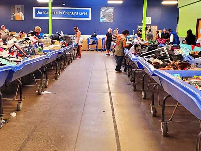 Rows of blue bins stretch like a treasure hunter's buffet where patience and persistence pay off handsomely.