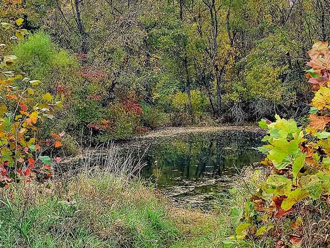 Nature's classroom looks better than any university brochure you've ever seen, and attendance is always optional.