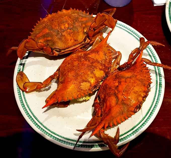 These blue crabs are the stuff of Chesapeake Bay dreams, perfectly seasoned and waiting for you.