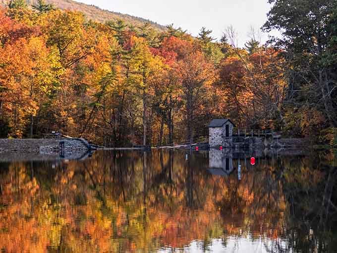 Fall transforms the lake into a mirror reflecting every shade of autumn you forgot existed in real life.