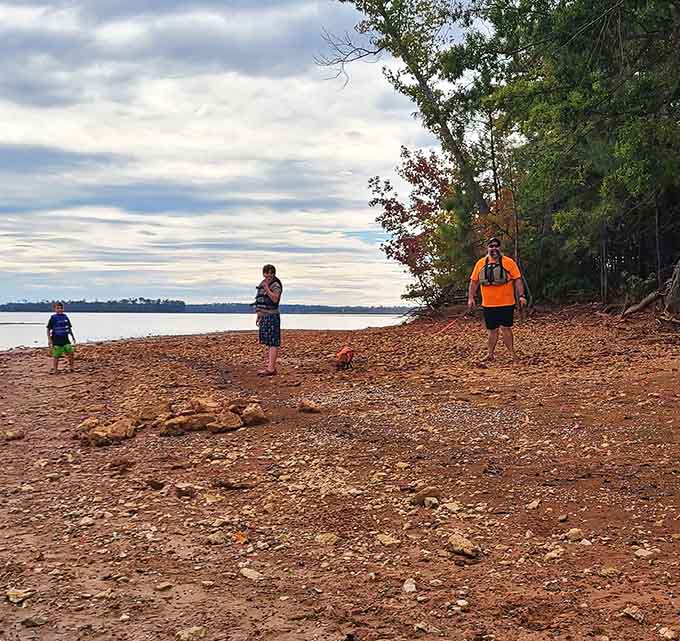 The shoreline beckons explorers of all ages to discover what treasures the water's edge might reveal today.