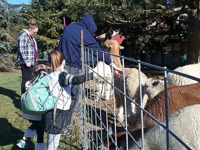 Getting up close with these gentle creatures beats any virtual reality experience technology could ever dream up.