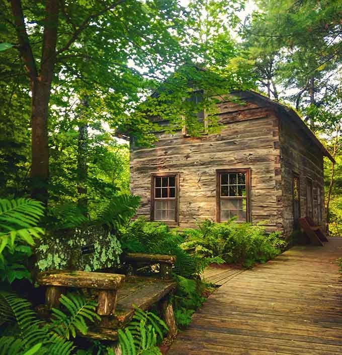 This weathered cabin looks like it wandered straight out of a Thoreau fever dream, minus the existential angst.