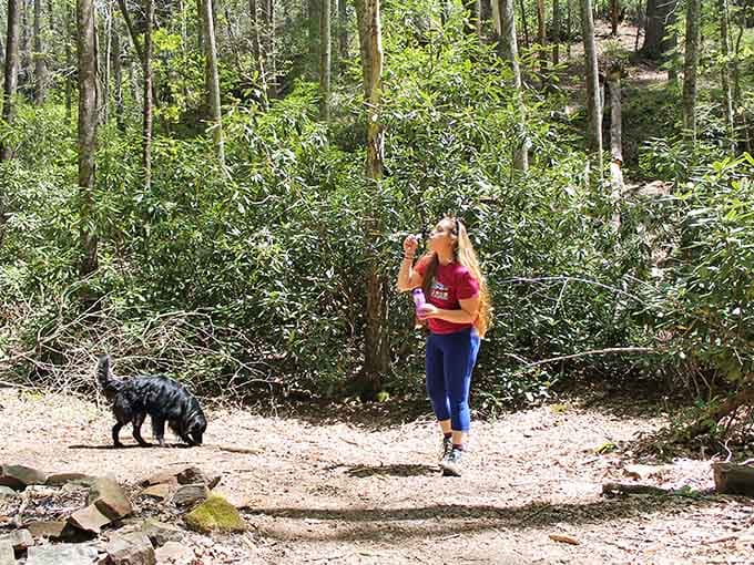 Even your four-legged hiking buddy knows this trail leads somewhere special, tail wagging with pure anticipation.