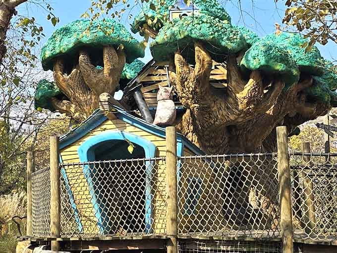 That treehouse has better architecture than most apartments, and yes, you're absolutely jealous of children.