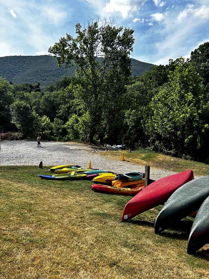 Colorful kayaks lined up and ready for adventure, because walking across isn't thrilling enough for some people.