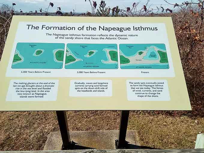 Educational signs that actually make geology interesting, which is saying something for those of us who slept through Earth Science.